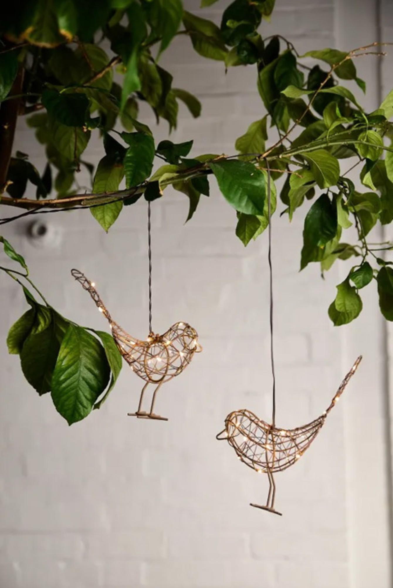 Hanging Robin| Lightstyle London